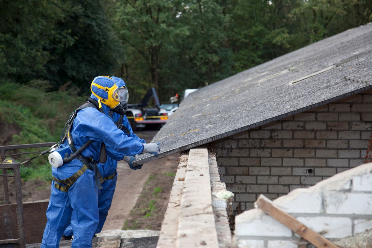 Asbestos Management Survey - Risk Safety Services